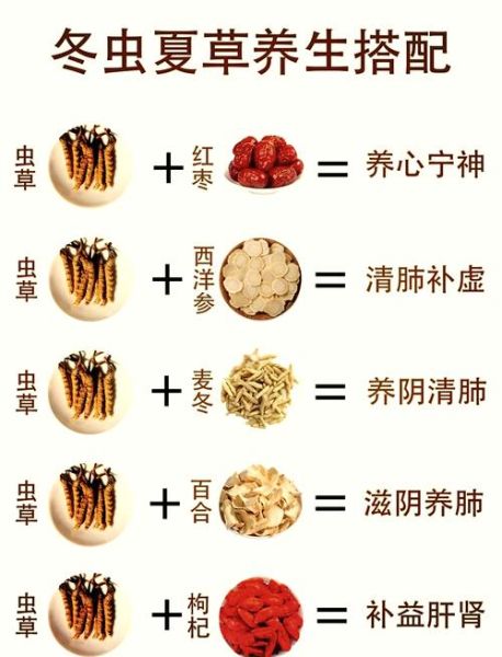 虫草花不能和什么一起吃_虫草花禁忌人群有哪些-第3张图片-山城妙识