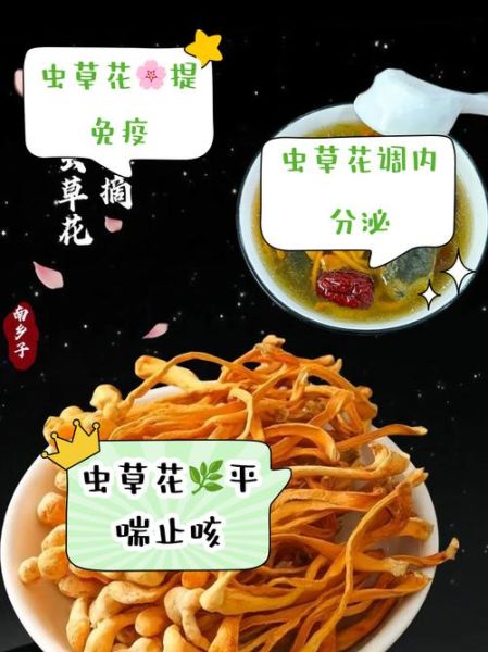 虫草花不能和什么一起吃_虫草花禁忌人群有哪些-第1张图片-山城妙识