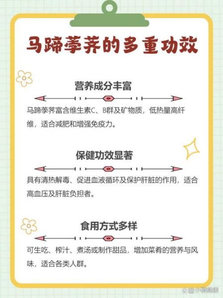 马蹄怎么吃最营养_马蹄的功效与作用-第2张图片-山城妙识