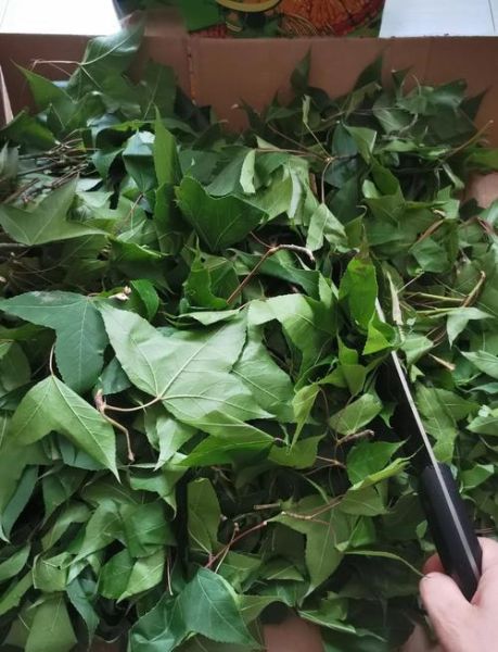 黑糯米饭怎么做_黑糯米饭要泡多久-第1张图片-山城妙识 黑糯米饭怎么做_黑糯米饭要泡多久-第1张图片-山城妙识