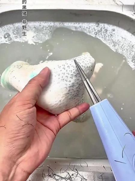 猪皮上的毛怎么去掉_家用去毛最快方法-第1张图片-山城妙识 猪皮上的毛怎么去掉_家用去毛最快方法-第1张图片-山城妙识