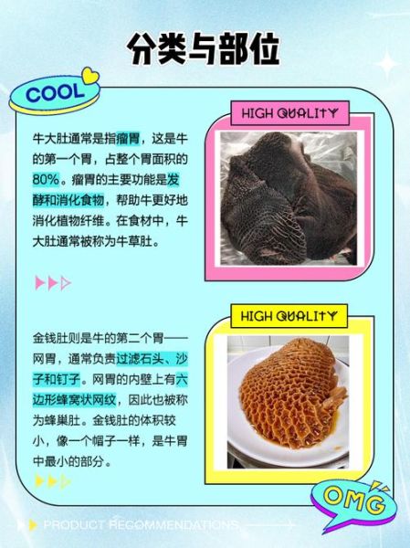 牛肚有几种_牛肚部位图片及区别-第2张图片-山城妙识 牛肚有几种_牛肚部位图片及区别-第2张图片-山城妙识