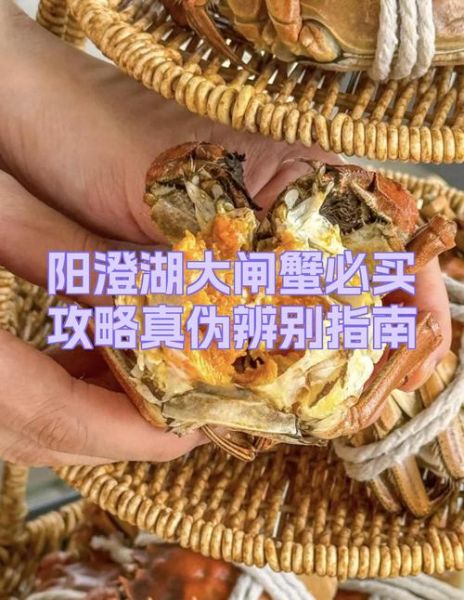 阳澄湖牌大闸蟹正宗吗_如何辨别真假-第1张图片-山城妙识 阳澄湖牌大闸蟹正宗吗_如何辨别真假-第1张图片-山城妙识