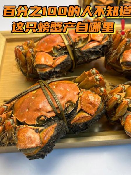 阳澄湖牌大闸蟹正宗吗_如何辨别真假-第3张图片-山城妙识 阳澄湖牌大闸蟹正宗吗_如何辨别真假-第3张图片-山城妙识