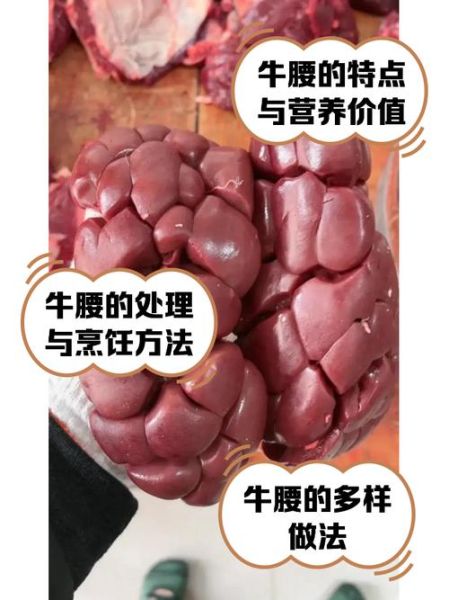 牛腰子怎么做好吃_牛腰子做法大全-第1张图片-山城妙识 牛腰子怎么做好吃_牛腰子做法大全-第1张图片-山城妙识