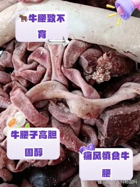 牛腰子怎么做好吃_牛腰子做法大全-第2张图片-山城妙识 牛腰子怎么做好吃_牛腰子做法大全-第2张图片-山城妙识