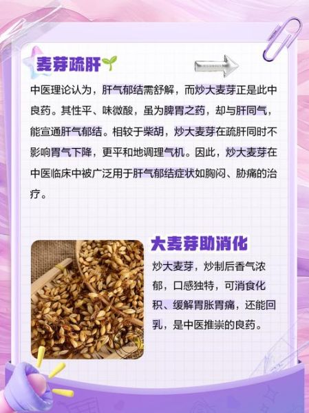 炒麦芽的副作用太大了_炒麦芽能长期喝吗-第3张图片-山城妙识 炒麦芽的副作用太大了_炒麦芽能长期喝吗-第3张图片-山城妙识
