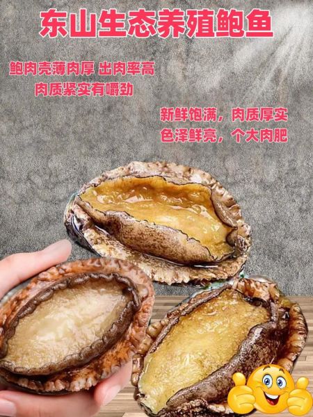 鲍鱼炖蛋怎么做_鲍鱼炖蛋要蒸多久-第1张图片-山城妙识 鲍鱼炖蛋怎么做_鲍鱼炖蛋要蒸多久-第1张图片-山城妙识