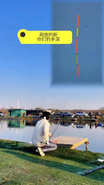 青鱼怎么钓最好_青鱼钓法技巧大全-第1张图片-山城妙识 青鱼怎么钓最好_青鱼钓法技巧大全-第1张图片-山城妙识