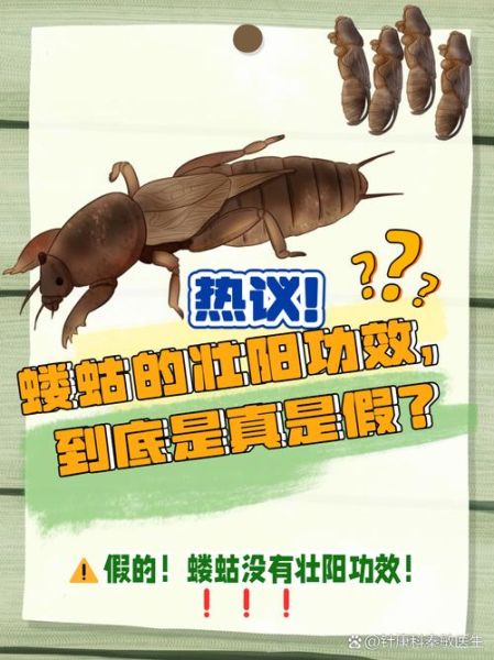 蝼蛄有毒吗_被蝼蛄咬了怎么办-第1张图片-山城妙识 蝼蛄有毒吗_被蝼蛄咬了怎么办-第1张图片-山城妙识
