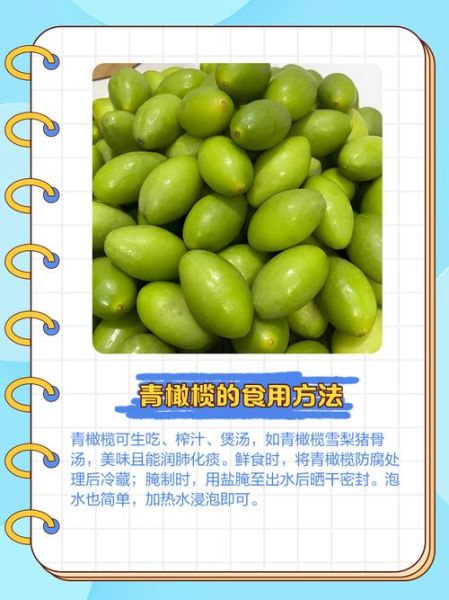 青橄榄的禁忌人群_青橄榄吃多了有什么副作用-第1张图片-山城妙识 青橄榄的禁忌人群_青橄榄吃多了有什么副作用-第1张图片-山城妙识