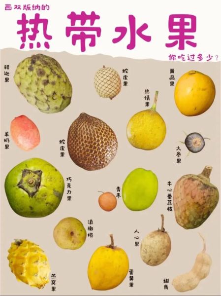 热带水果大全100种有哪些_热带水果大全100种怎么吃-第1张图片-山城妙识 热带水果大全100种有哪些_热带水果大全100种怎么吃-第1张图片-山城妙识