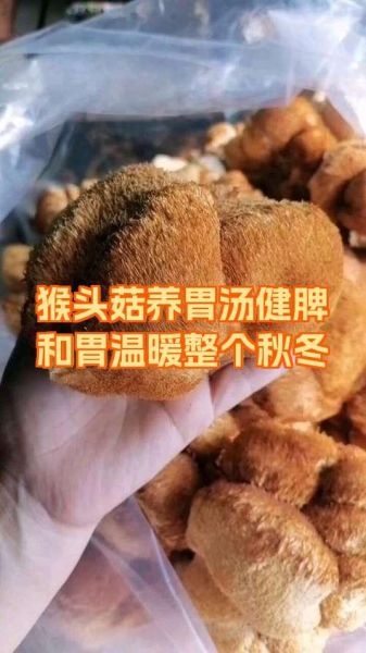 猴头菇煲汤苦怎么办_猴头菇怎么去苦味-第1张图片-山城妙识