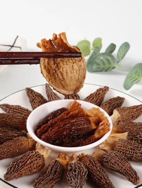 羊肚菌的功效和作用有哪些_羊肚菌怎么吃最营养-第3张图片-山城妙识 羊肚菌的功效和作用有哪些_羊肚菌怎么吃最营养-第3张图片-山城妙识