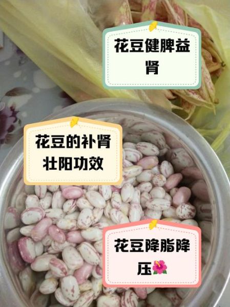 花豆的功效与作用禁忌_花豆怎么吃最健康-第3张图片-山城妙识 花豆的功效与作用禁忌_花豆怎么吃最健康-第3张图片-山城妙识