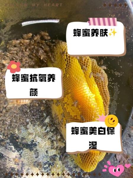 蜂蜜敷脸祛痘正确方法_蜂蜜祛痘多久见效-第2张图片-山城妙识 蜂蜜敷脸祛痘正确方法_蜂蜜祛痘多久见效-第2张图片-山城妙识