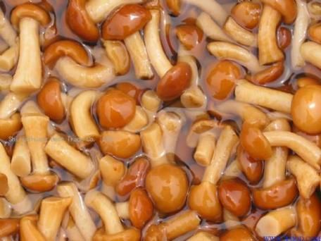 滑子菇中毒症状_滑子菇中毒怎么办-第3张图片-山城妙识 滑子菇中毒症状_滑子菇中毒怎么办-第3张图片-山城妙识