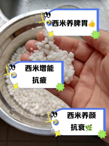 西米有什么功效_西米的作用与禁忌-第1张图片-山城妙识 西米有什么功效_西米的作用与禁忌-第1张图片-山城妙识
