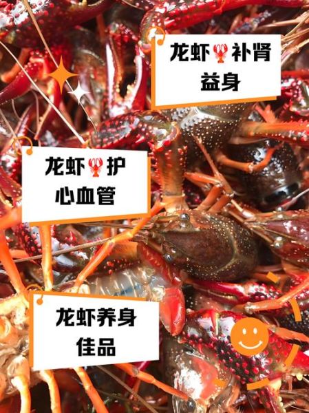 龙虾吃什么食物好养活_龙虾养殖饲料选择-第3张图片-山城妙识 龙虾吃什么食物好养活_龙虾养殖饲料选择-第3张图片-山城妙识