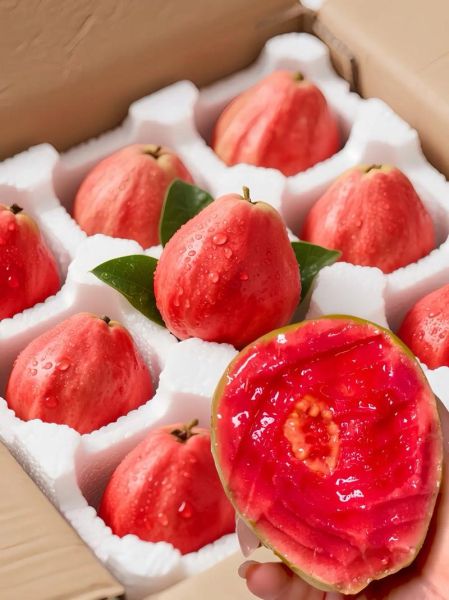 红心番石榴怎么吃_红心番石榴的正确吃法-第3张图片-山城妙识 红心番石榴怎么吃_红心番石榴的正确吃法-第3张图片-山城妙识