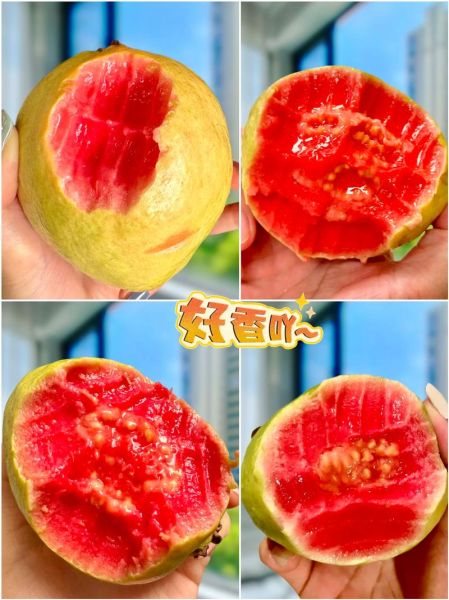 红心番石榴怎么吃_红心番石榴的正确吃法-第2张图片-山城妙识 红心番石榴怎么吃_红心番石榴的正确吃法-第2张图片-山城妙识