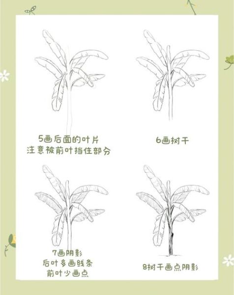 芭蕉树简笔画怎么画_芭蕉树简笔画步骤图-第1张图片-山城妙识 芭蕉树简笔画怎么画_芭蕉树简笔画步骤图-第1张图片-山城妙识