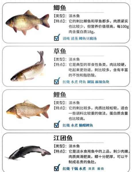 菜市场常见鱼有哪些_如何挑选新鲜鱼-第1张图片-山城妙识