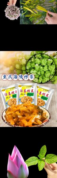 老牌子榨菜怎么选_榨菜品牌哪个最正宗-第2张图片-山城妙识
