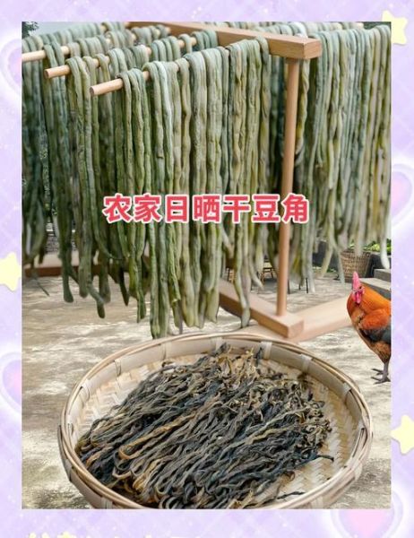 豆角干怎么晒_豆角干晒多久才能干-第2张图片-山城妙识