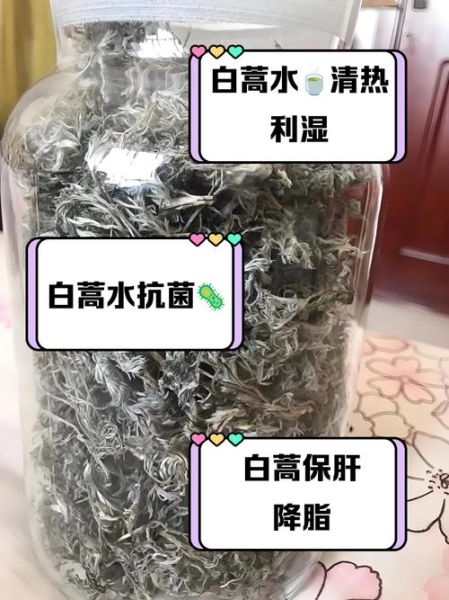 长期喝白蒿水有副作用吗_白蒿水副作用有哪些-第1张图片-山城妙识 长期喝白蒿水有副作用吗_白蒿水副作用有哪些-第1张图片-山城妙识