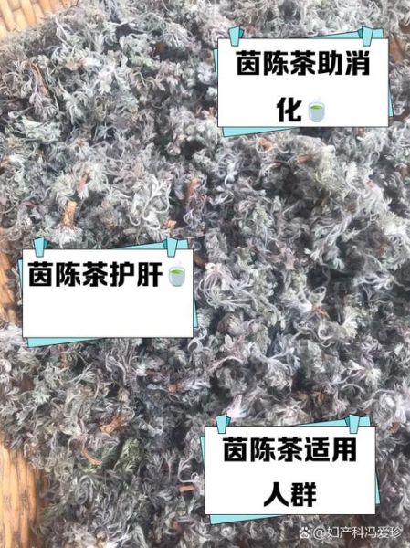 茵陈茶的功效与作用_茵陈茶能长期喝吗-第1张图片-山城妙识 茵陈茶的功效与作用_茵陈茶能长期喝吗-第1张图片-山城妙识