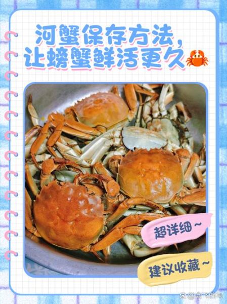 河蟹蒸熟了第二天还能吃吗_隔夜河蟹保存方法-第3张图片-山城妙识 河蟹蒸熟了第二天还能吃吗_隔夜河蟹保存方法-第3张图片-山城妙识