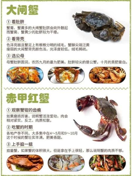 螃蟹怎么挑选_螃蟹怎么清洗-第2张图片-山城妙识 螃蟹怎么挑选_螃蟹怎么清洗-第2张图片-山城妙识