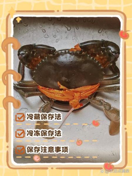 河蟹蒸熟了第二天还能吃吗_隔夜河蟹保存方法-第1张图片-山城妙识 河蟹蒸熟了第二天还能吃吗_隔夜河蟹保存方法-第1张图片-山城妙识