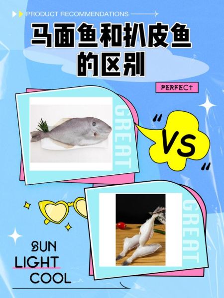 扒皮鱼是海鱼还是淡水_扒皮鱼生长环境揭秘-第1张图片-山城妙识 扒皮鱼是海鱼还是淡水_扒皮鱼生长环境揭秘-第1张图片-山城妙识