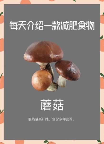 炒蘑菇的热量是多少_减肥能吃吗-第3张图片-山城妙识 炒蘑菇的热量是多少_减肥能吃吗-第3张图片-山城妙识