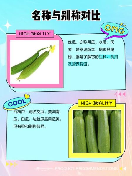 西葫芦和瓠瓜的区别_怎么区分-第2张图片-山城妙识 西葫芦和瓠瓜的区别_怎么区分-第2张图片-山城妙识