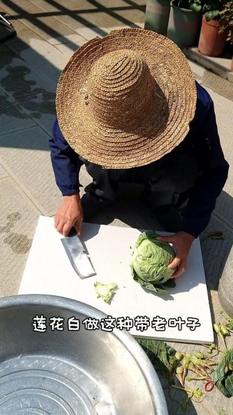 浆水没引子怎么做_浆水没引子发酵技巧-第3张图片-山城妙识 浆水没引子怎么做_浆水没引子发酵技巧-第3张图片-山城妙识