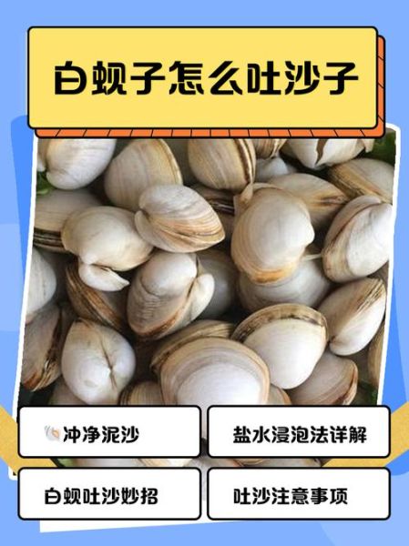 蚬子怎么吐沙干净_蚬子家常做法步骤-第2张图片-山城妙识 蚬子怎么吐沙干净_蚬子家常做法步骤-第2张图片-山城妙识