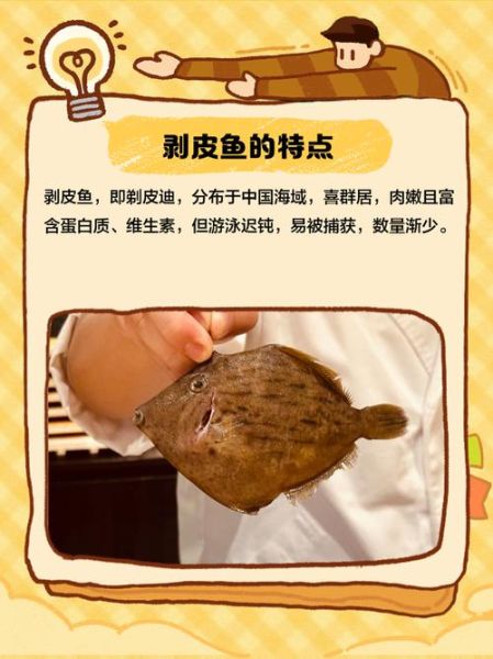 扒皮鱼又叫什么鱼_扒皮鱼学名是什么-第3张图片-山城妙识 扒皮鱼又叫什么鱼_扒皮鱼学名是什么-第3张图片-山城妙识