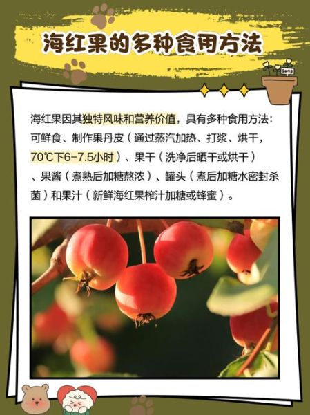 海红蜜是什么_海红蜜的功效与作用-第3张图片-山城妙识 海红蜜是什么_海红蜜的功效与作用-第3张图片-山城妙识