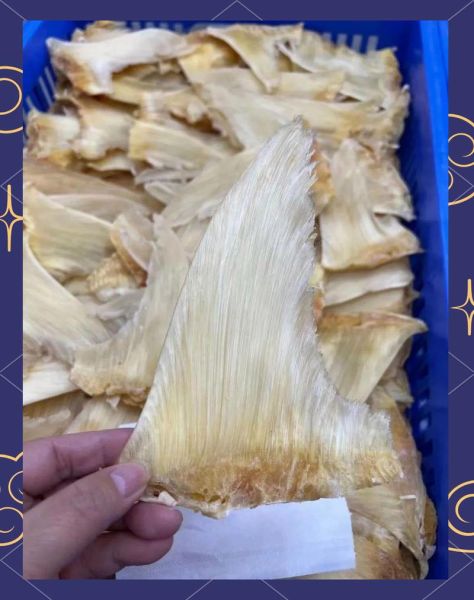 鱼翅图片高清大图_如何辨别真假鱼翅-第3张图片-山城妙识 鱼翅图片高清大图_如何辨别真假鱼翅-第3张图片-山城妙识