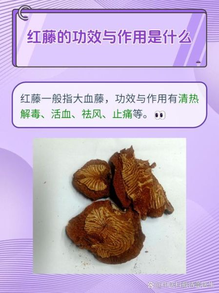 红藤的功效与作用禁忌_红藤适合什么人吃-第3张图片-山城妙识 红藤的功效与作用禁忌_红藤适合什么人吃-第3张图片-山城妙识