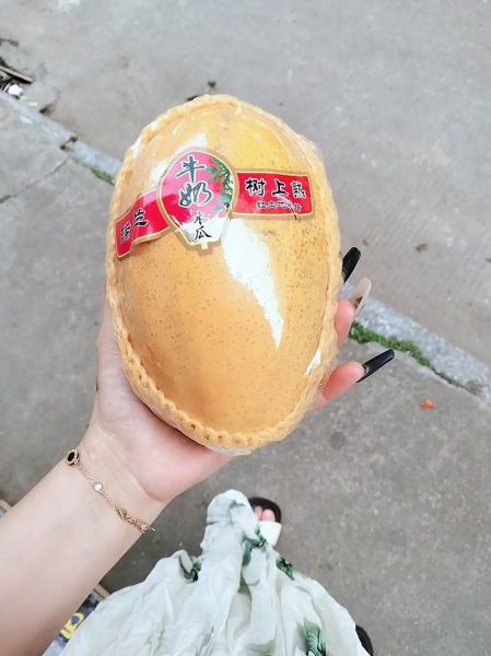 木瓜雪蛤炖牛奶的做法_木瓜雪蛤炖牛奶什么时候吃最好-第3张图片-山城妙识 木瓜雪蛤炖牛奶的做法_木瓜雪蛤炖牛奶什么时候吃最好-第3张图片-山城妙识