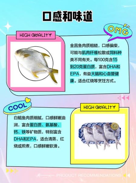 金鲳鱼和白鲳鱼哪个好_区别与选购指南-第1张图片-山城妙识 金鲳鱼和白鲳鱼哪个好_区别与选购指南-第1张图片-山城妙识