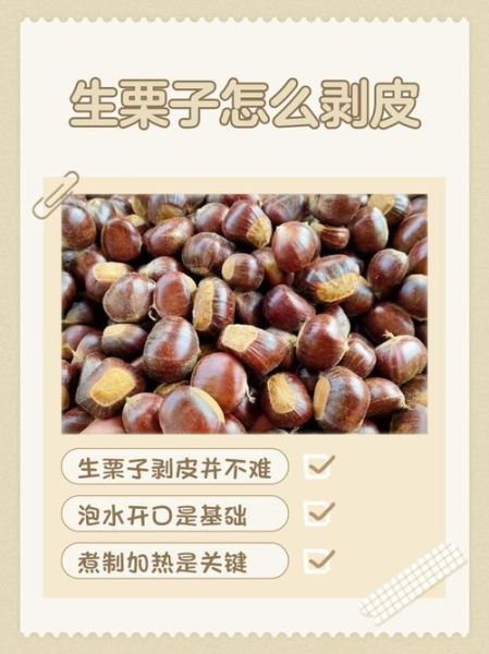 栗子怎么去皮_生栗子快速去壳技巧-第1张图片-山城妙识