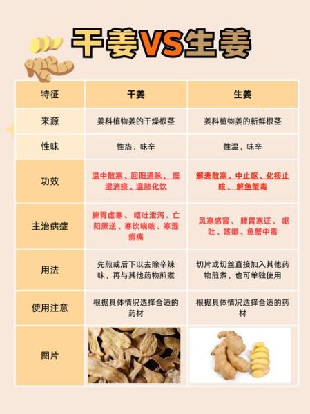 高良姜和干姜的区别_哪个更适合日常煲汤-第1张图片-山城妙识