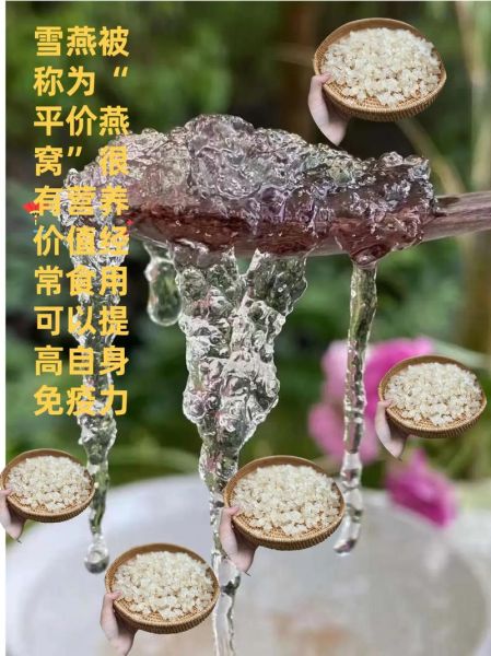雪燕的功效与作用_雪燕怎么吃效果最好-第3张图片-山城妙识