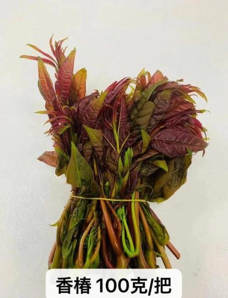 香椿怎么吃最好_香椿芽的吃法大全-第1张图片-山城妙识