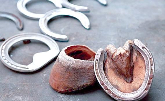 马蹄铁象征什么_马蹄铁挂门口方向-第3张图片-山城妙识 马蹄铁象征什么_马蹄铁挂门口方向-第3张图片-山城妙识